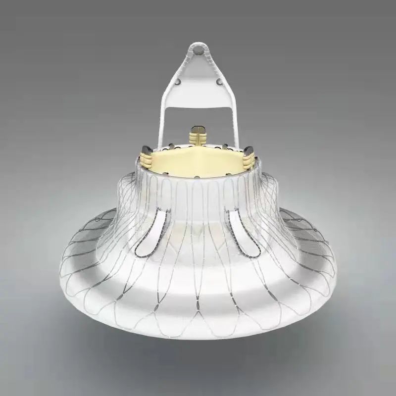重磅｜健世科技 Lux-Valve成为中国首款同时获得美国FDA突破性器械及NMPA创新通道认定的瓣膜介入治疗器械 -- 严道医声网