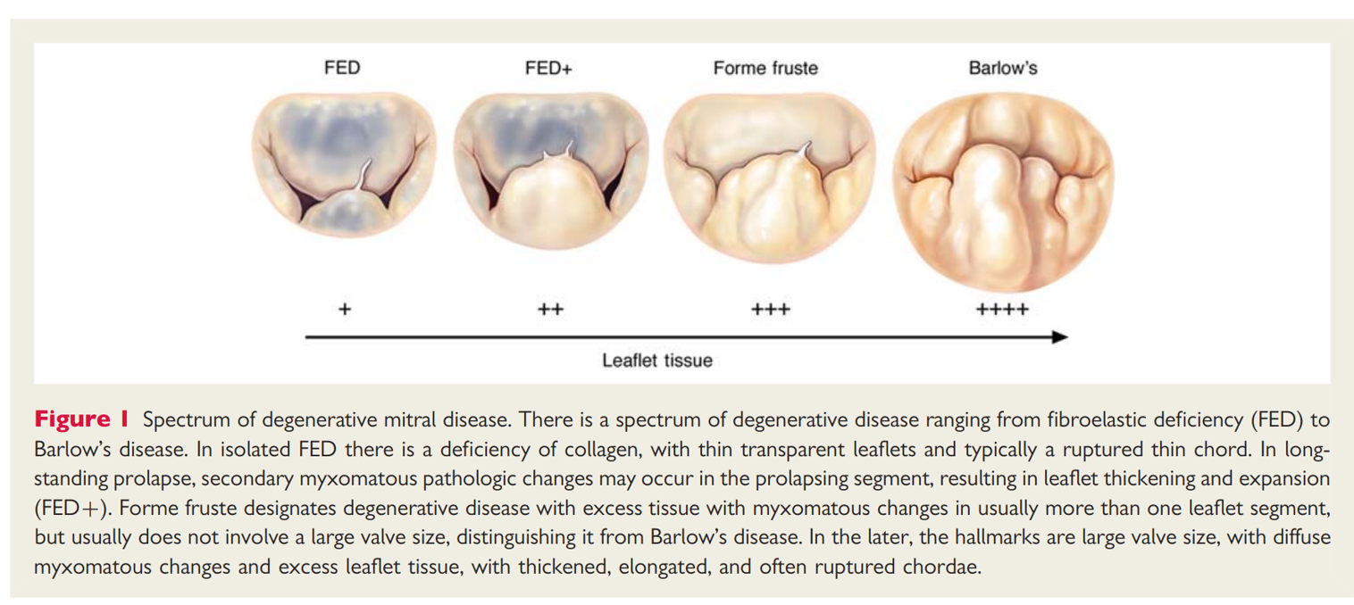 TCT回眸｜TCT影像专题：深度思考专场 -- 严道医声网